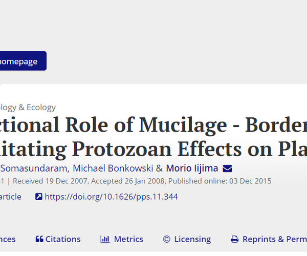 Functional Role of Mucilage - Border Cells: A Complex Facilitating Pro ...