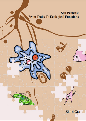 Soil Protists: From traits to ecological functions – ECOstyle COM ...